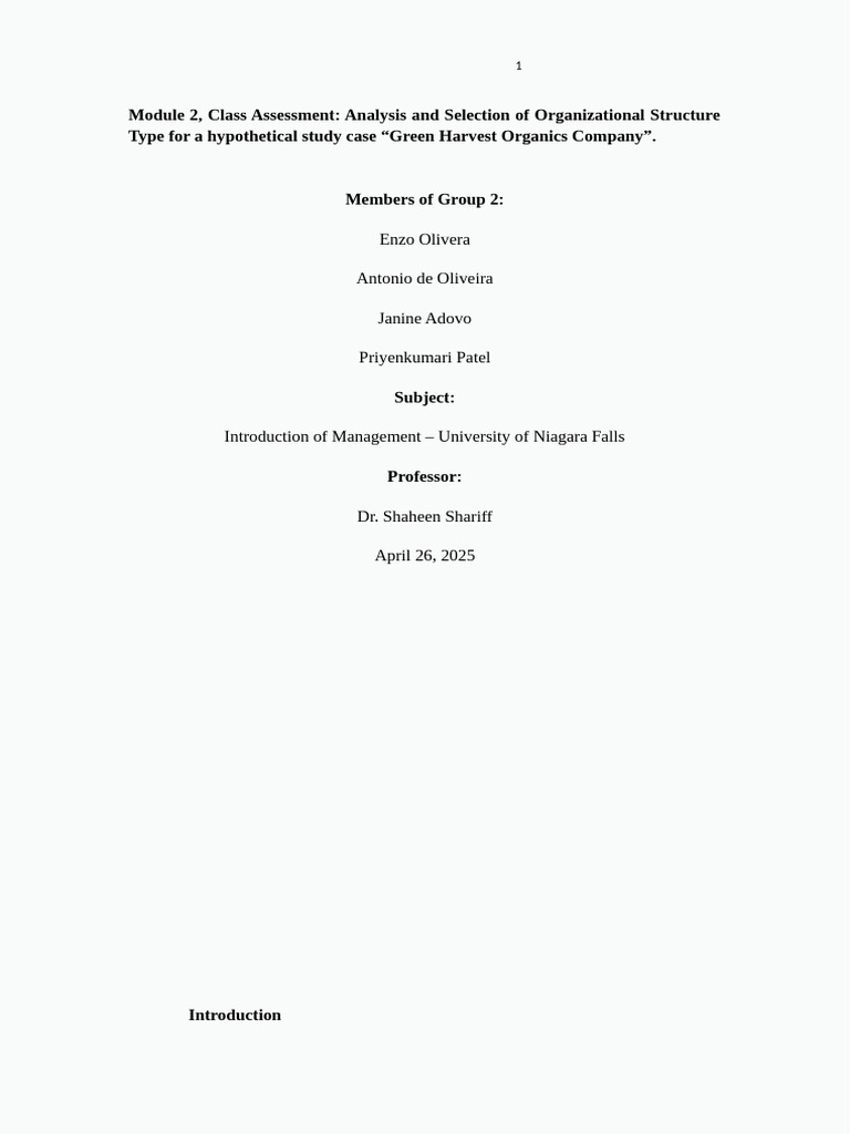 Module 2 Intro To Management - Group 2 Assestment | PDF | Organizational Structure | Market ...