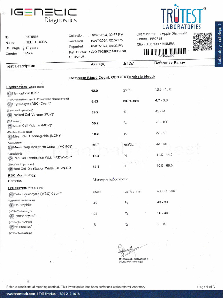 Neel Dhera Reports | PDF