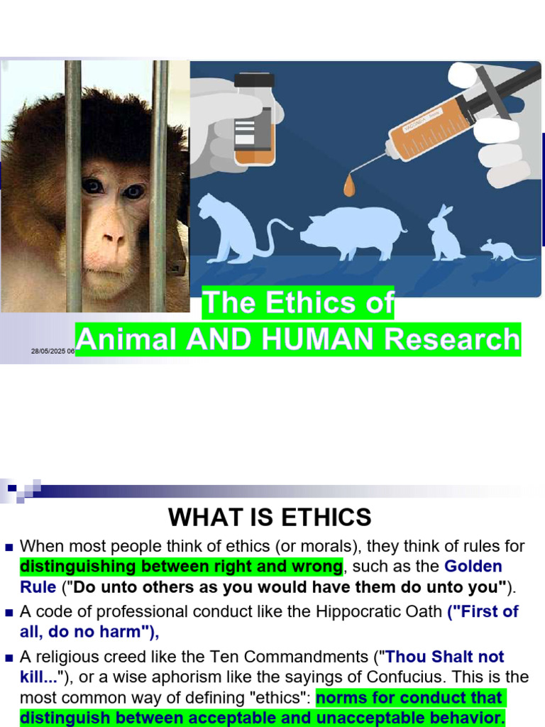 Understanding Ethics in Animal Research | PDF | Animal Testing ...