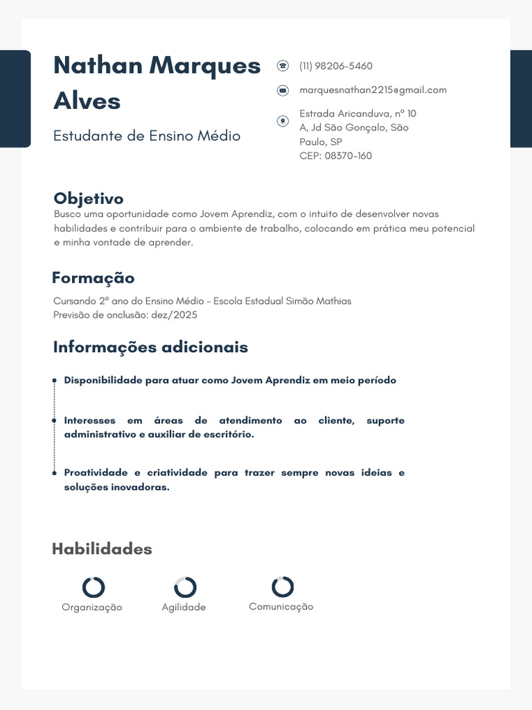 Currículo Nathan Alves Marques | PDF