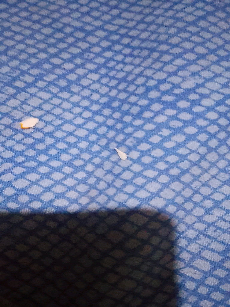 PDF Phoenix 20250528 062808 | PDF