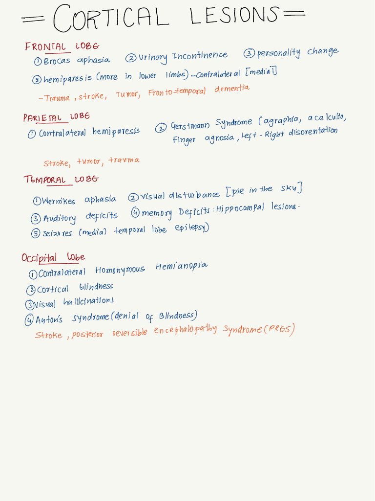 Lesion Localisation | PDF