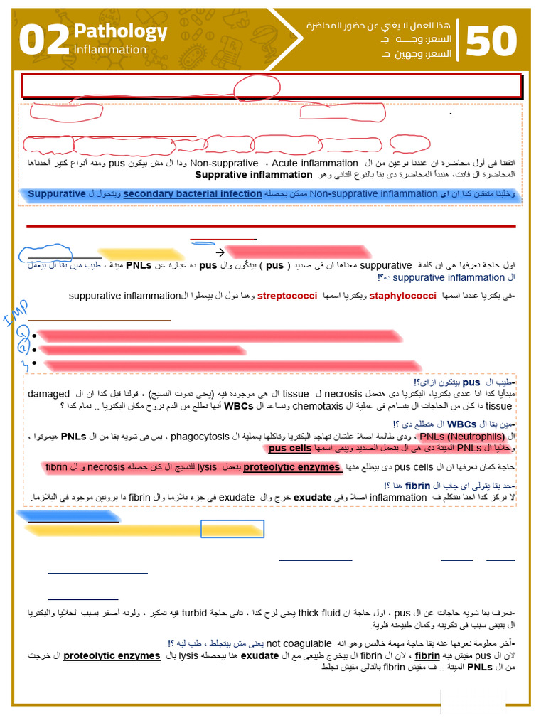 Lec.2 Pathology Unpriced | PDF