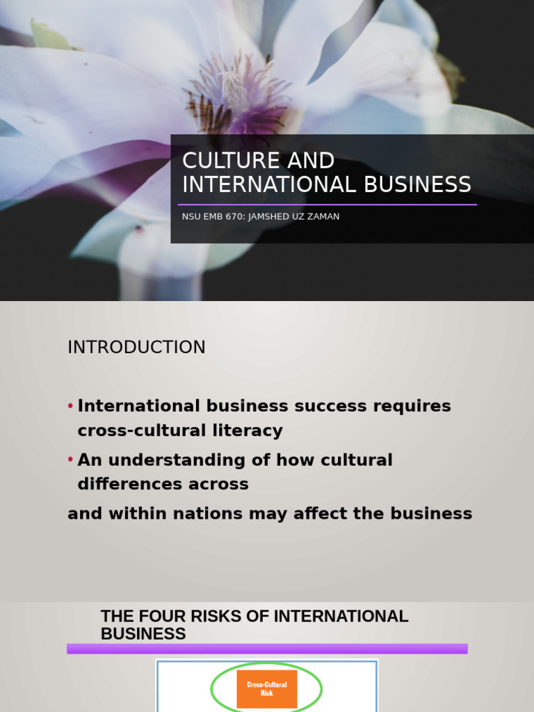 NSU IB Lecture 9b Culture and IB | PDF | Society | Mindset