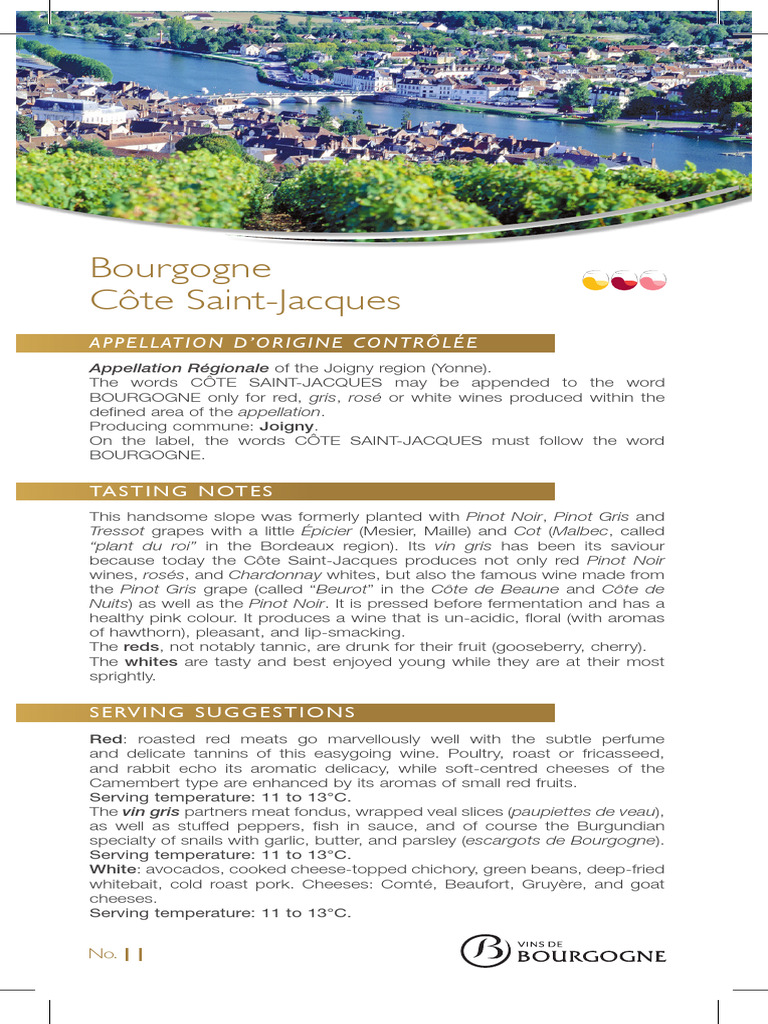 Bourgogne Côte Saint-Jacques Sheet | PDF | Wine | Alcoholic Drinks
