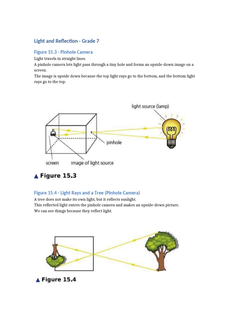 Light - and - Reflection - Grade7 Worksheets PDF | PDF