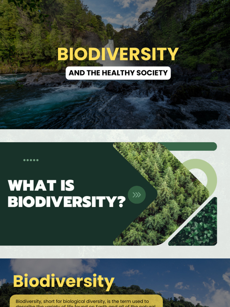 Biodiversity-in-Ecosystems-Educational-Presentation-in-Colorful ...