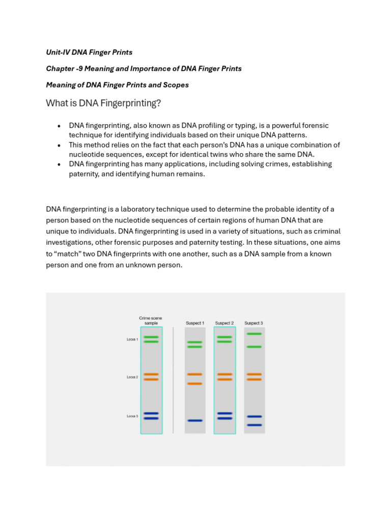 What Is DNA Fingerprinting? | PDF | Dna Profiling | Single Nucleotide Polymorphism