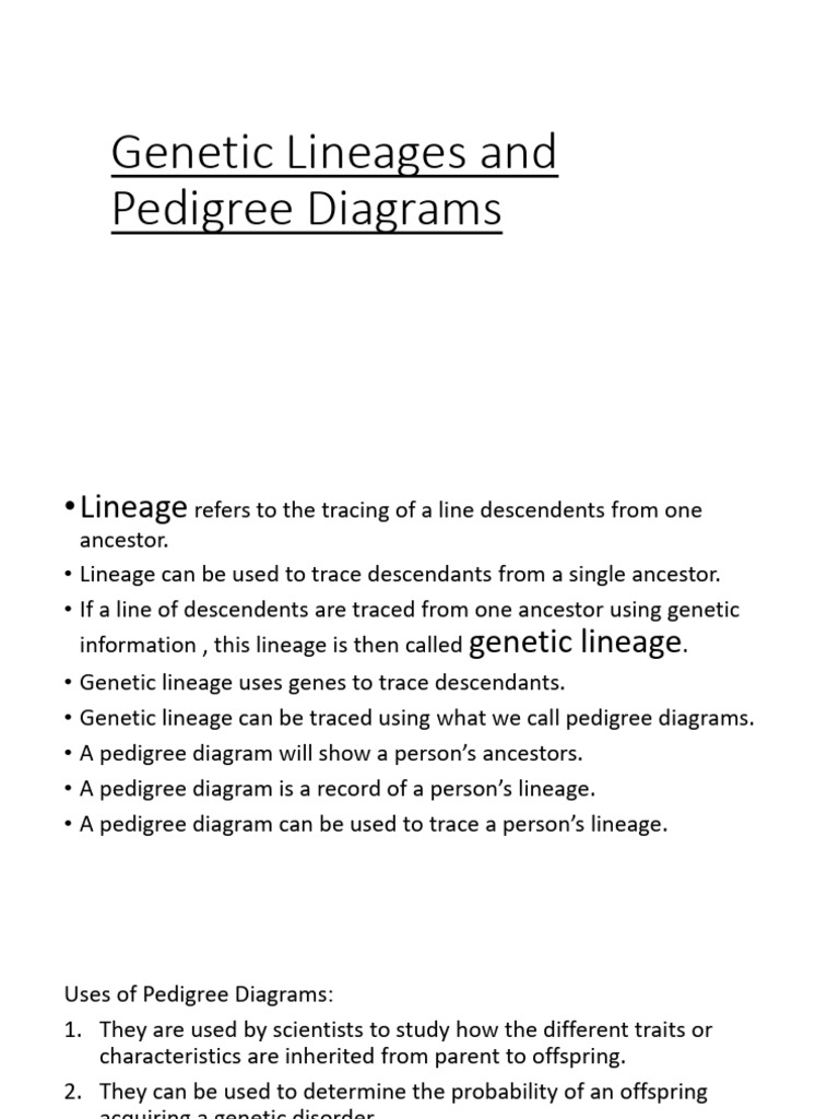 Genetic Lineages and Pedigree Diagrams | PDF | Mutation | Point Mutation