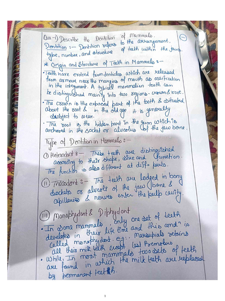 Practice Sheet-1 (1007) | PDF