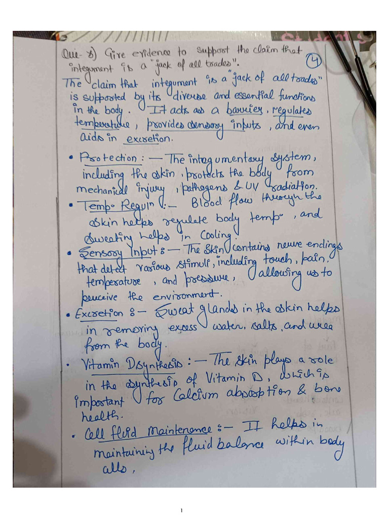 Practice Sheet-2 (1007) | PDF