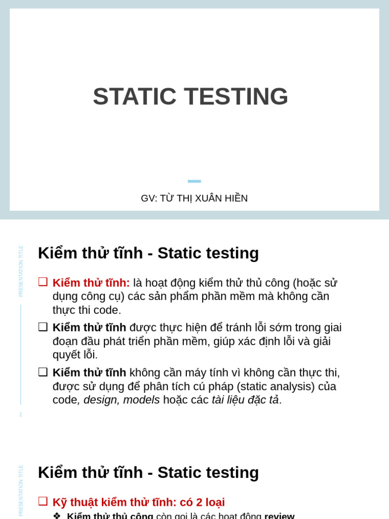 Static Testing | PDF