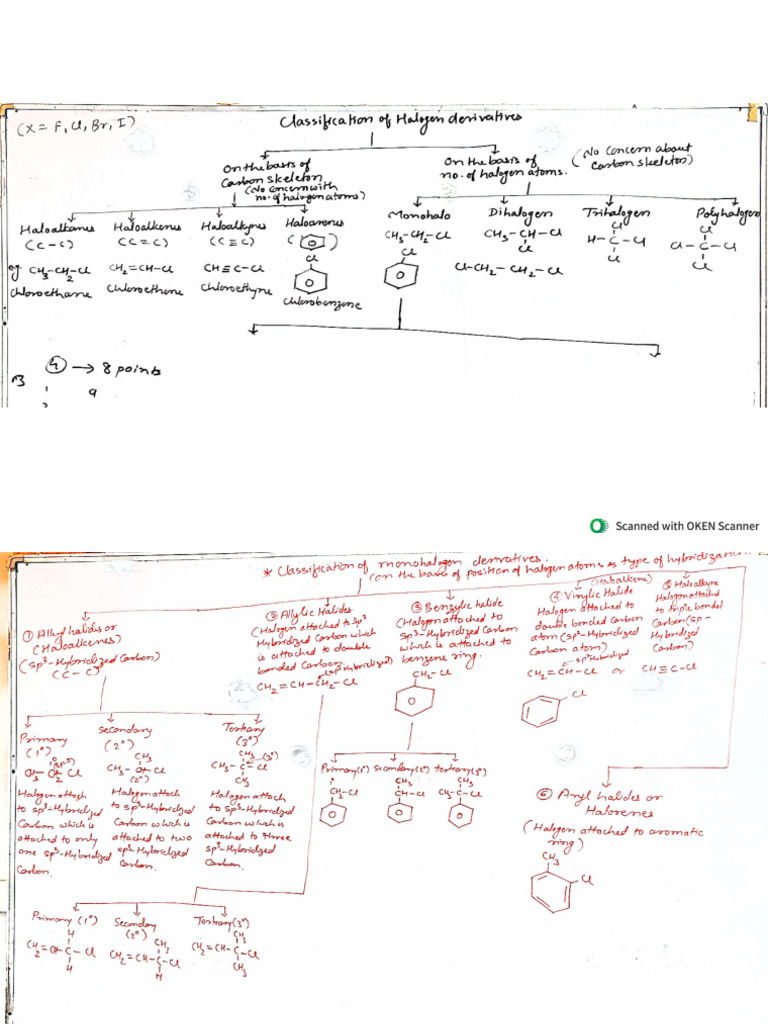 Halogen Derivatives | PDF