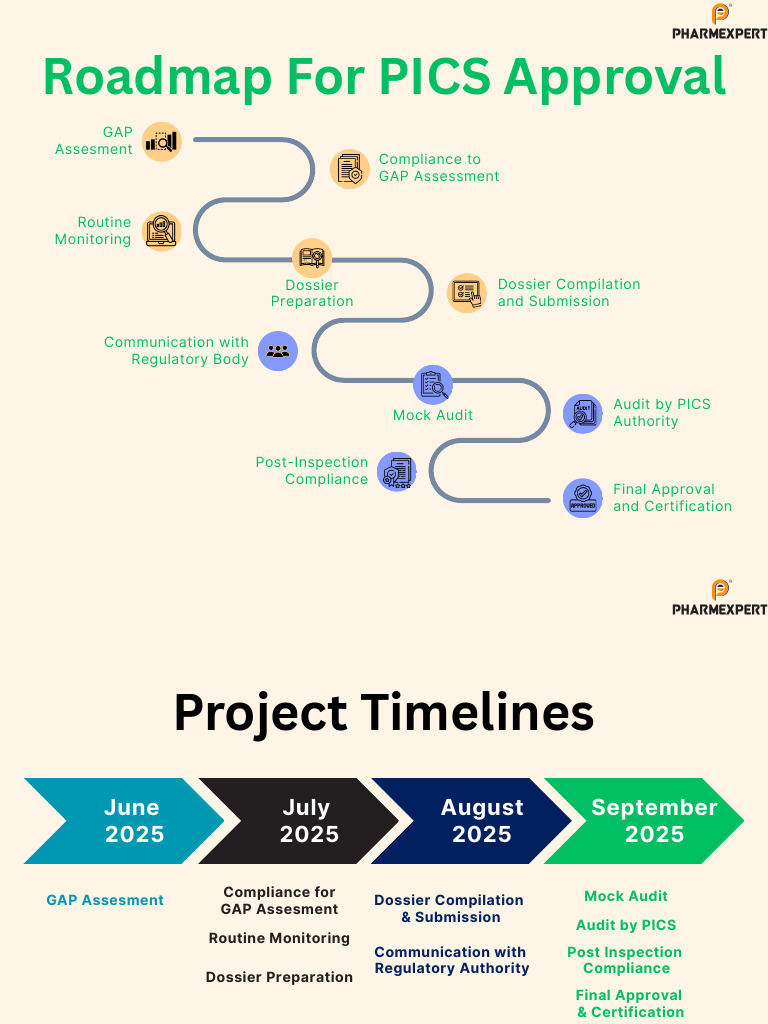 Roadmap Timeline Flow Diagram Infographic Graph | PDF