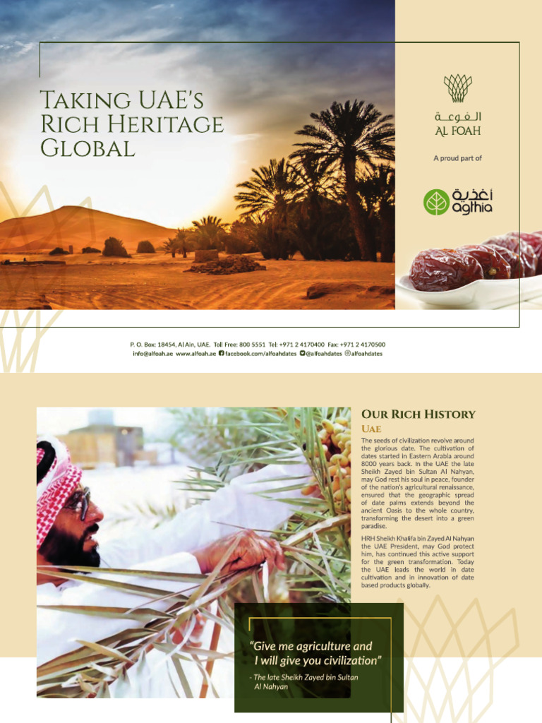 Alfo Ah Brochure | PDF