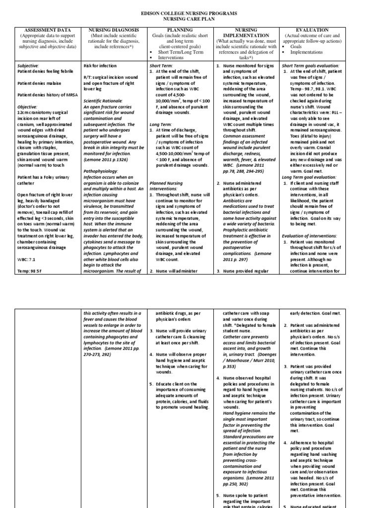 Care Plan Risk For Infection 2 | PDF | Infection | Wound