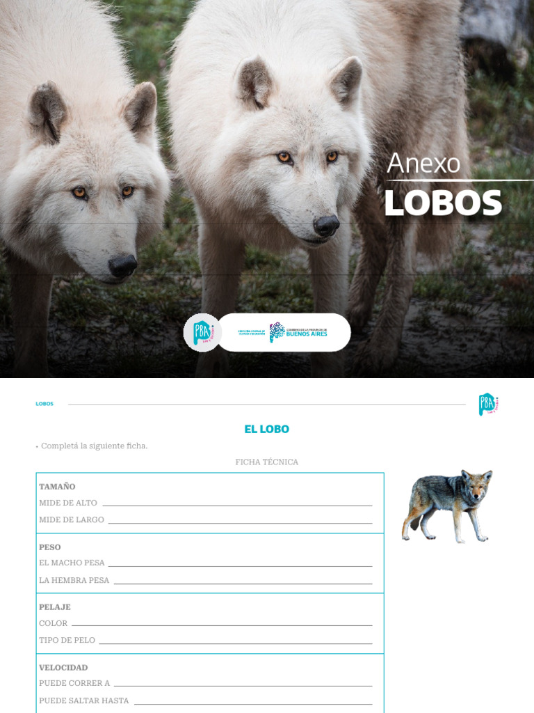Anexo Lobos Continuemos Estudiando | PDF | Zoología