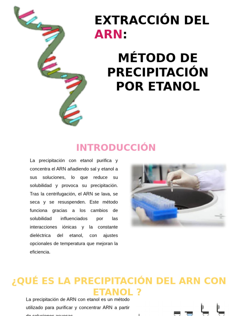 Metodo de Extracción Del ARN | PDF | Precipitación (Química) | Proteínas