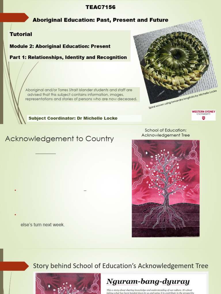 Aboriginal Education: Identity & Recognition | PDF | Indigenous ...