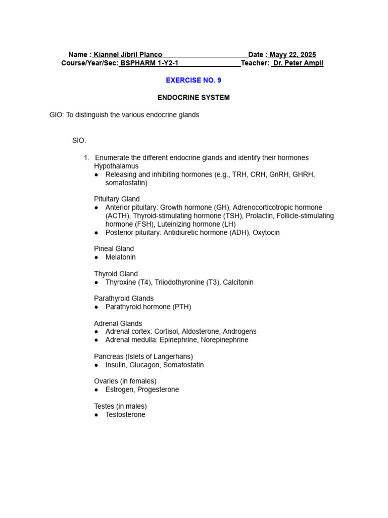 LAB EXERCISE - Endocrine System | PDF | Endocrine System | Organ (Anatomy)