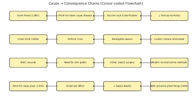 Medicine Cause Consequence Flowchart | PDF