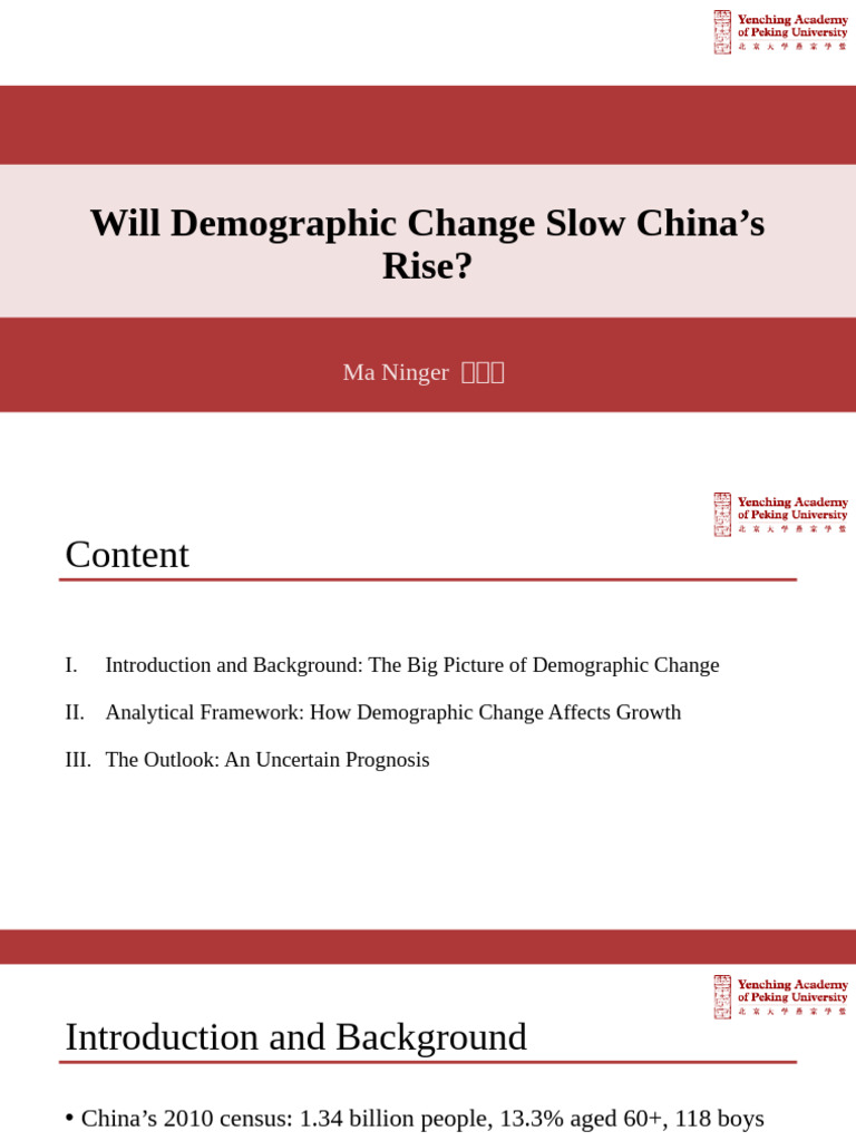 Presentation About Demography | PDF | Demography | Labour Economics