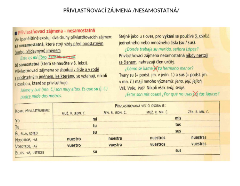 Přivlastňovací Zájmena | PDF