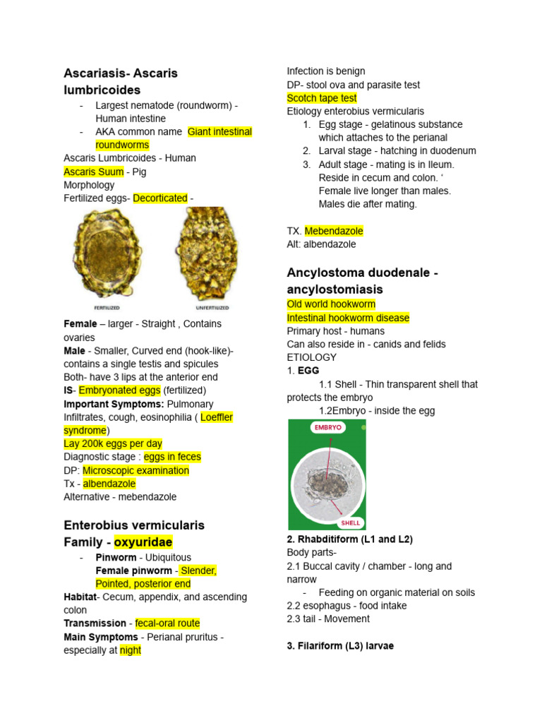 Ascariasis Ascaris Lumbricoides | PDF | Parasitology