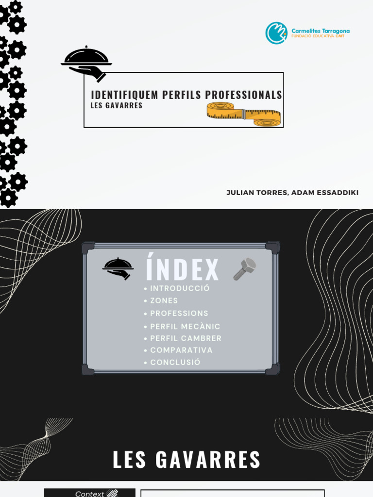 Identifiquem Perfils Professionals | PDF