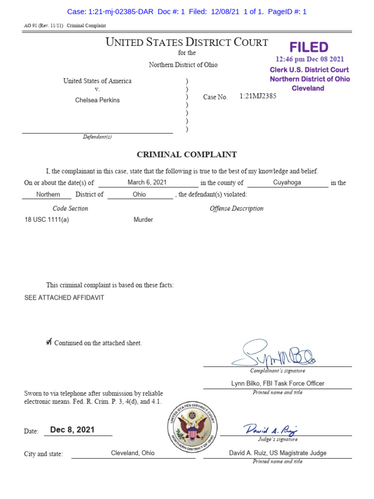 Chelsea Perkins Murder Complaint | PDF | Crimes | Crime & Violence