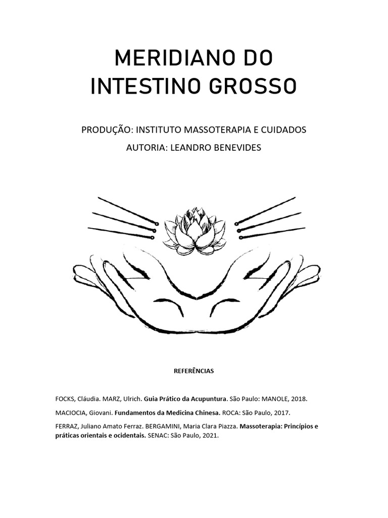 MERIDIANO+DO+INTESTINO+GROSSO | PDF