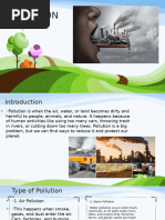 Pollution Presentation | PDF