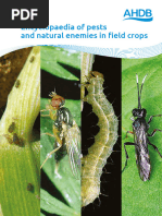 Nematode Species and Common Names List | PDF | Parasites | Plants