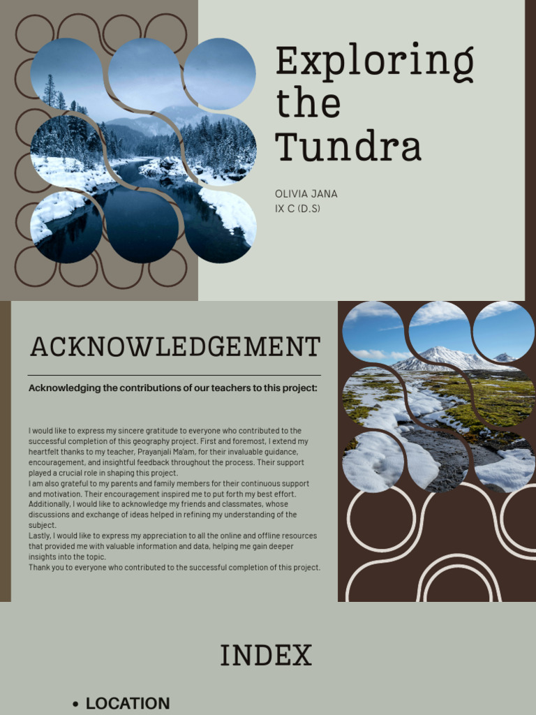 Presentation - Exploring The Tundra - 20250519 - 200617 - 0000 | PDF ...