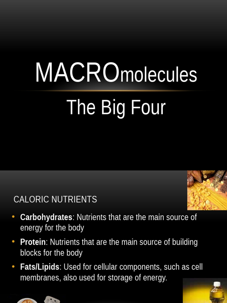 q1 Genbio 1 Lesson 4 Macromolecules | PDF | Carbohydrates | Lipid