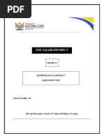 Computer Applications Technology PAT GR 12 2025 Learner Guidelines Eng ...