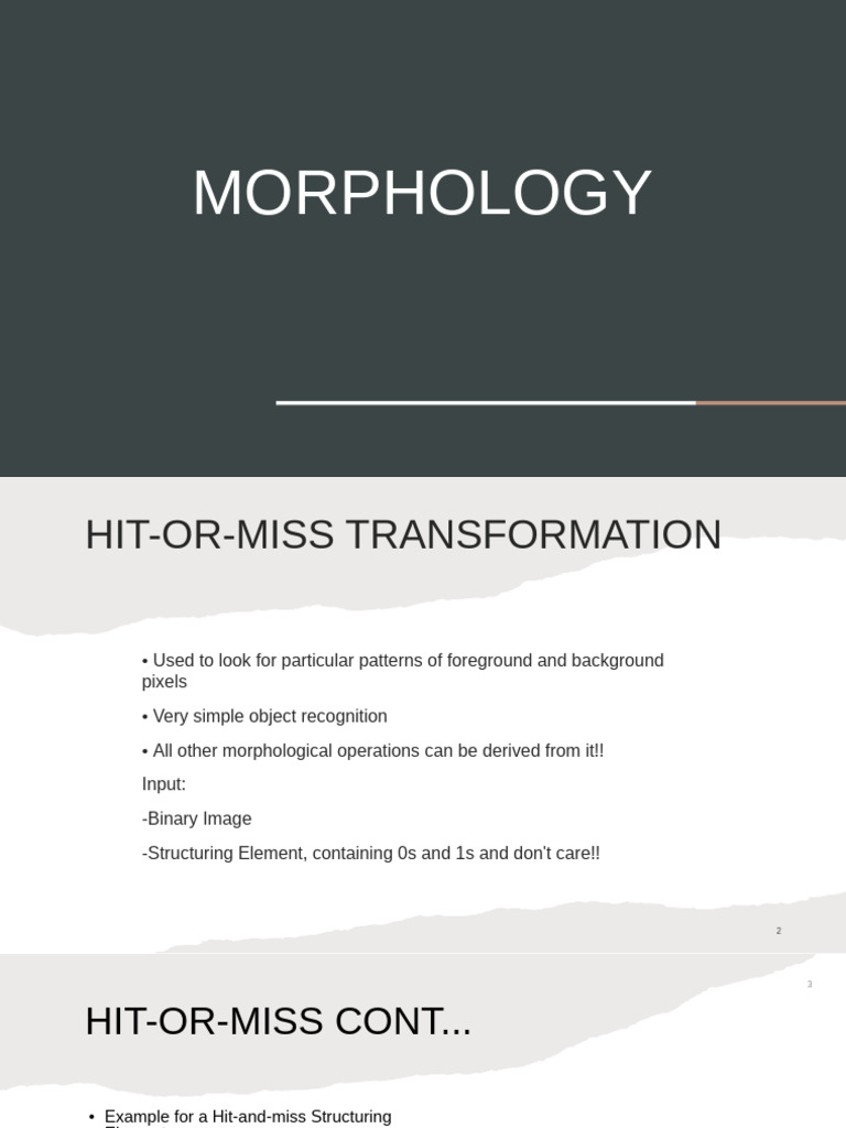 Morphology algorithms | PDF | Computer Vision | Mathematical Analysis