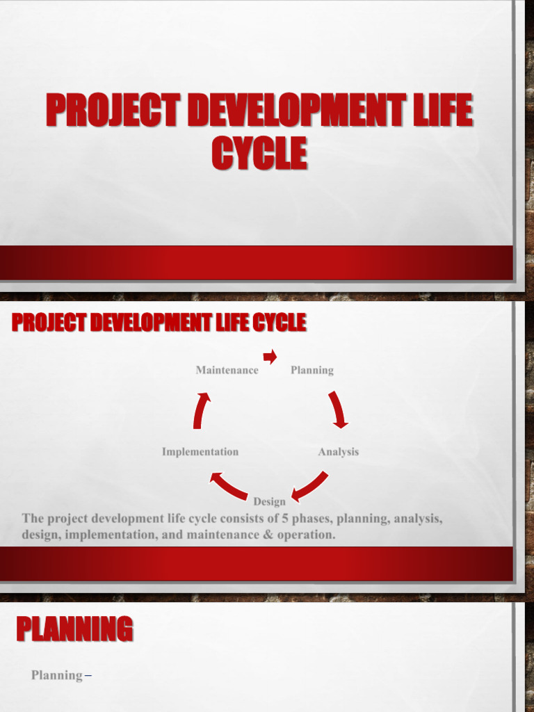 5 Project Development Cycle | PDF | System | Software Testing