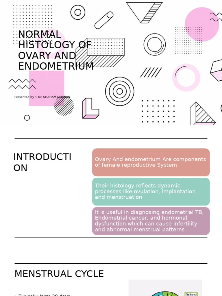 Ovary and Endometrium | PDF | Menstrual Cycle | Animal Female ...