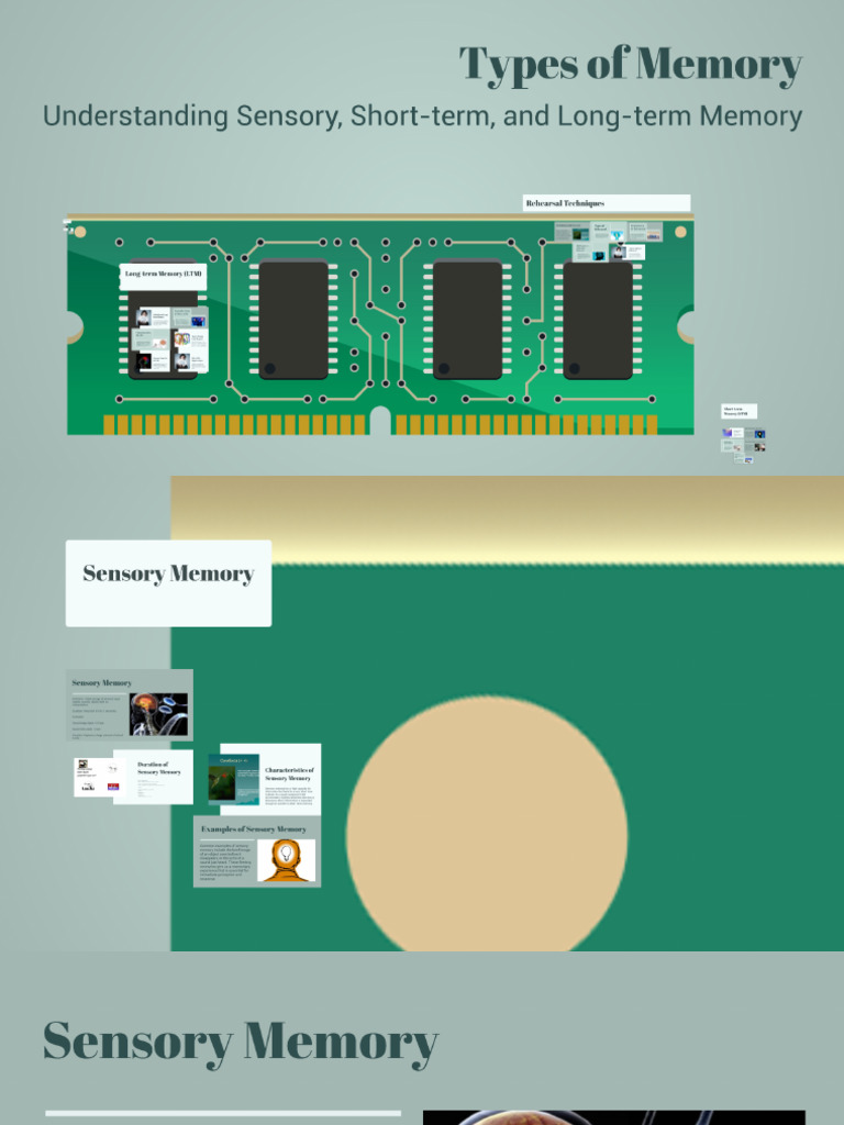 Types of Memory | PDF