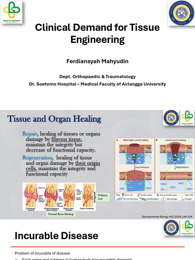 Clinical Demand For Tissue Engineering | PDF | Tissue Engineering ...