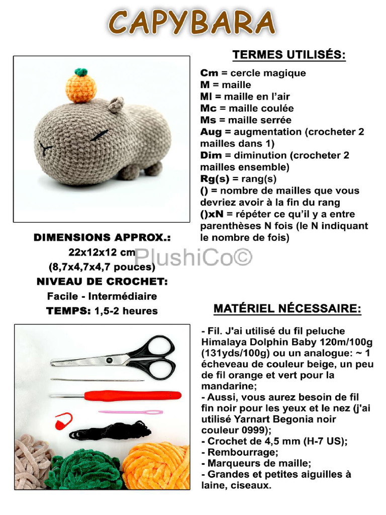 Patron Capybara Au Crochet FR | PDF
