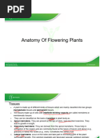 Anatomy of Flowering Plants Overview | PDF | Leaf | Tissue (Biology)
