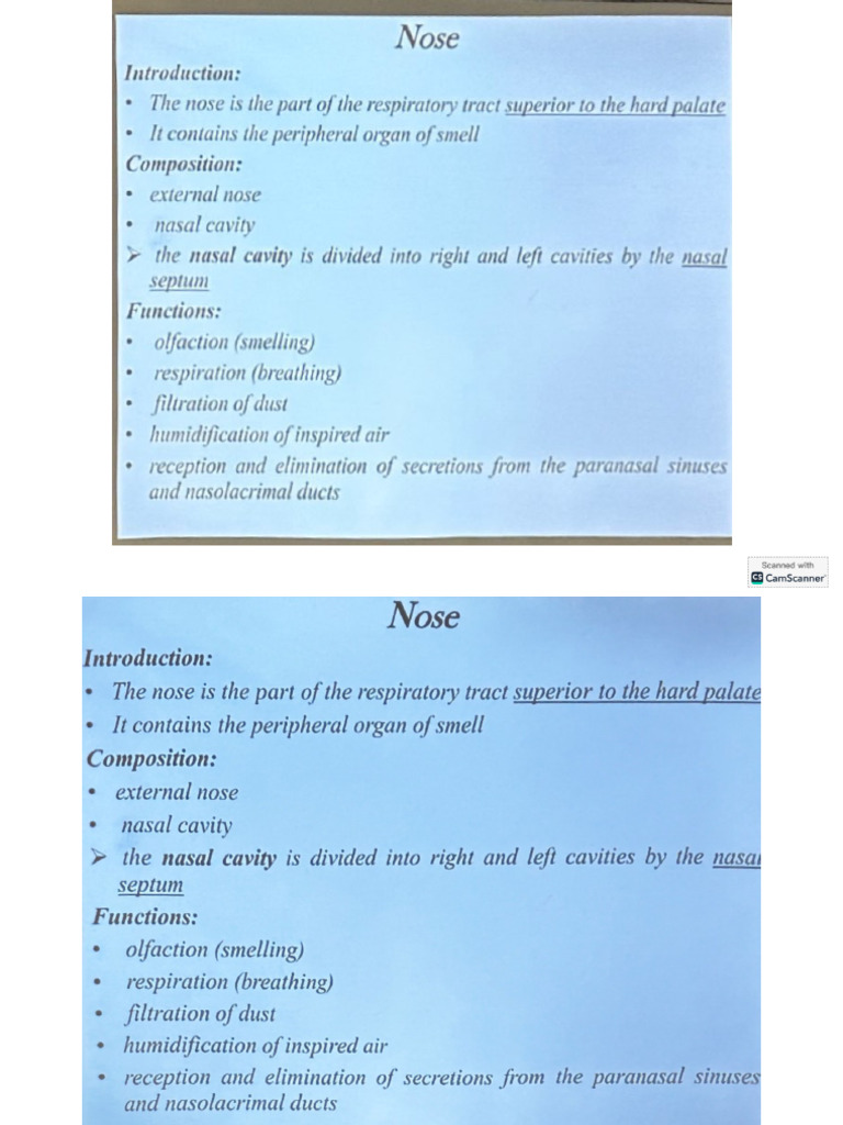 Nose Anatomy | PDF