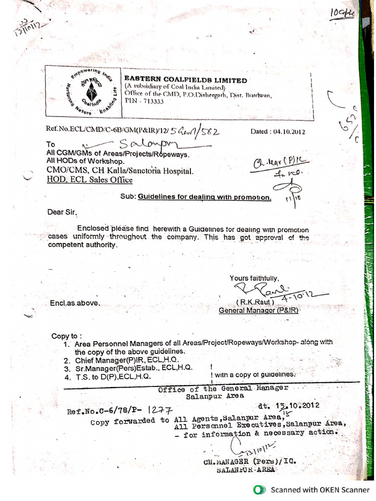 Promotion Guideline | PDF