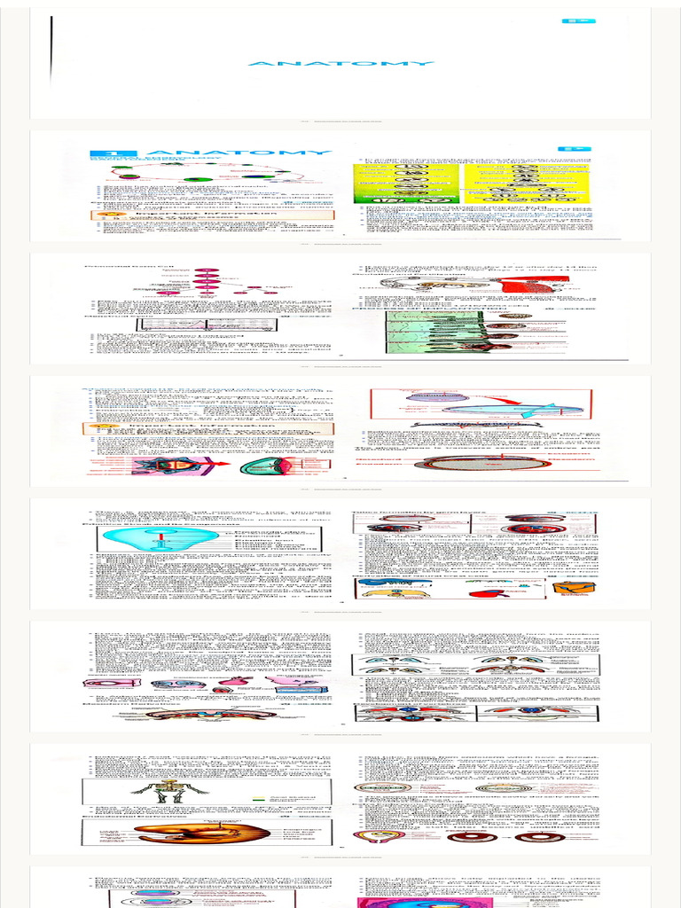 Anatomy PrepLadder RR PDF | PDF | Morphology (Biology) | Developmental Biology