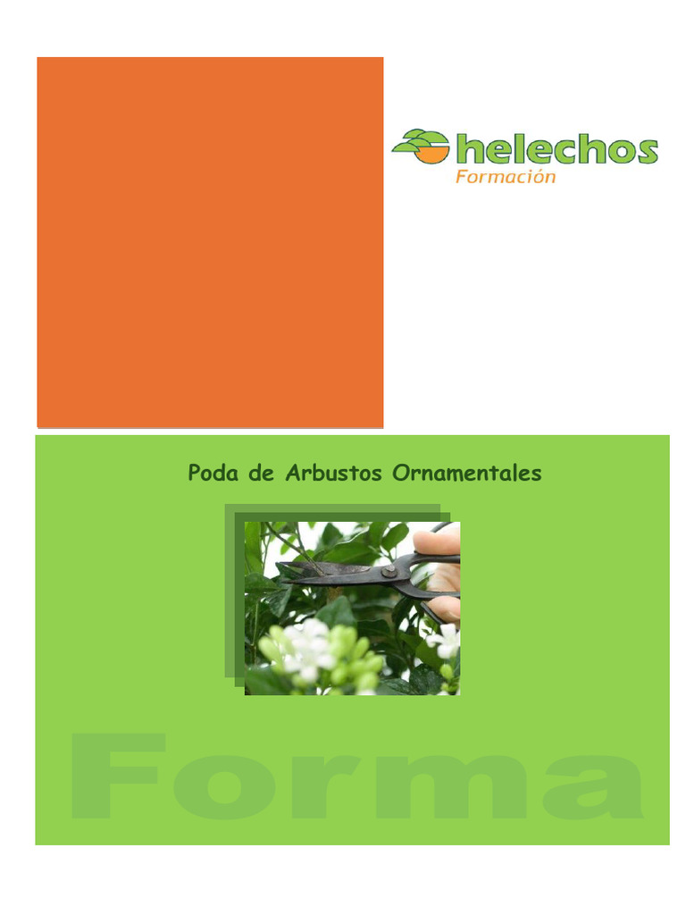 Curso Poda Arbustiva - 2024 | PDF | Arbusto | tijeras