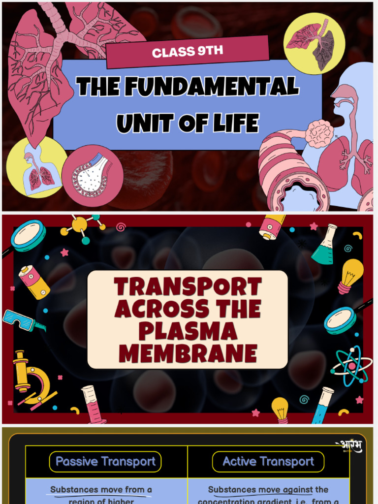 The Fundamental Unit of Life L3 | PDF