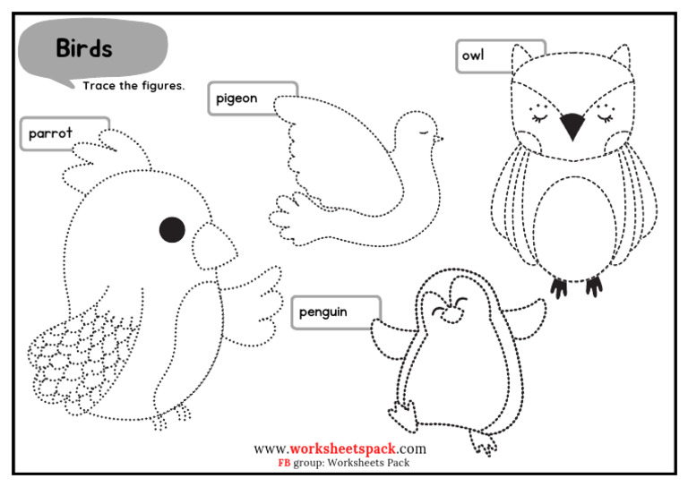 Bird Pictures Tracing Worksheet | PDF