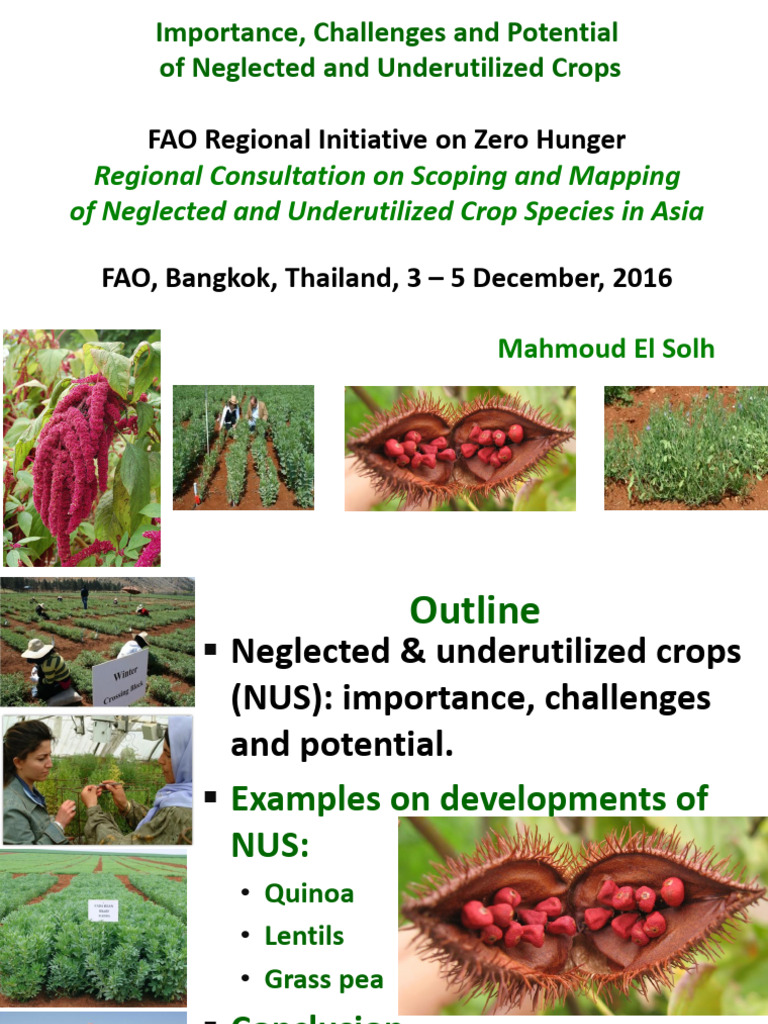 Importance Challenges and Potential of Neglected and Underutilized ...